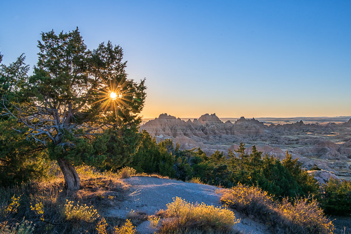 Cliff Shelf Sunny Morning – Mama Law Photography