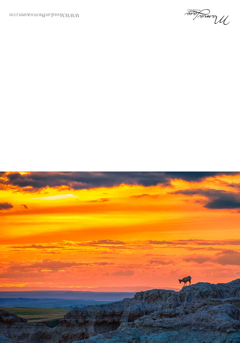 Pinnacles Sunset – Mama Law Photography